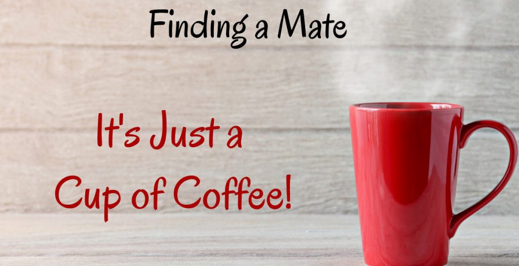 Raising Real Men » » Finding a Mate: It’s Just Coffee
