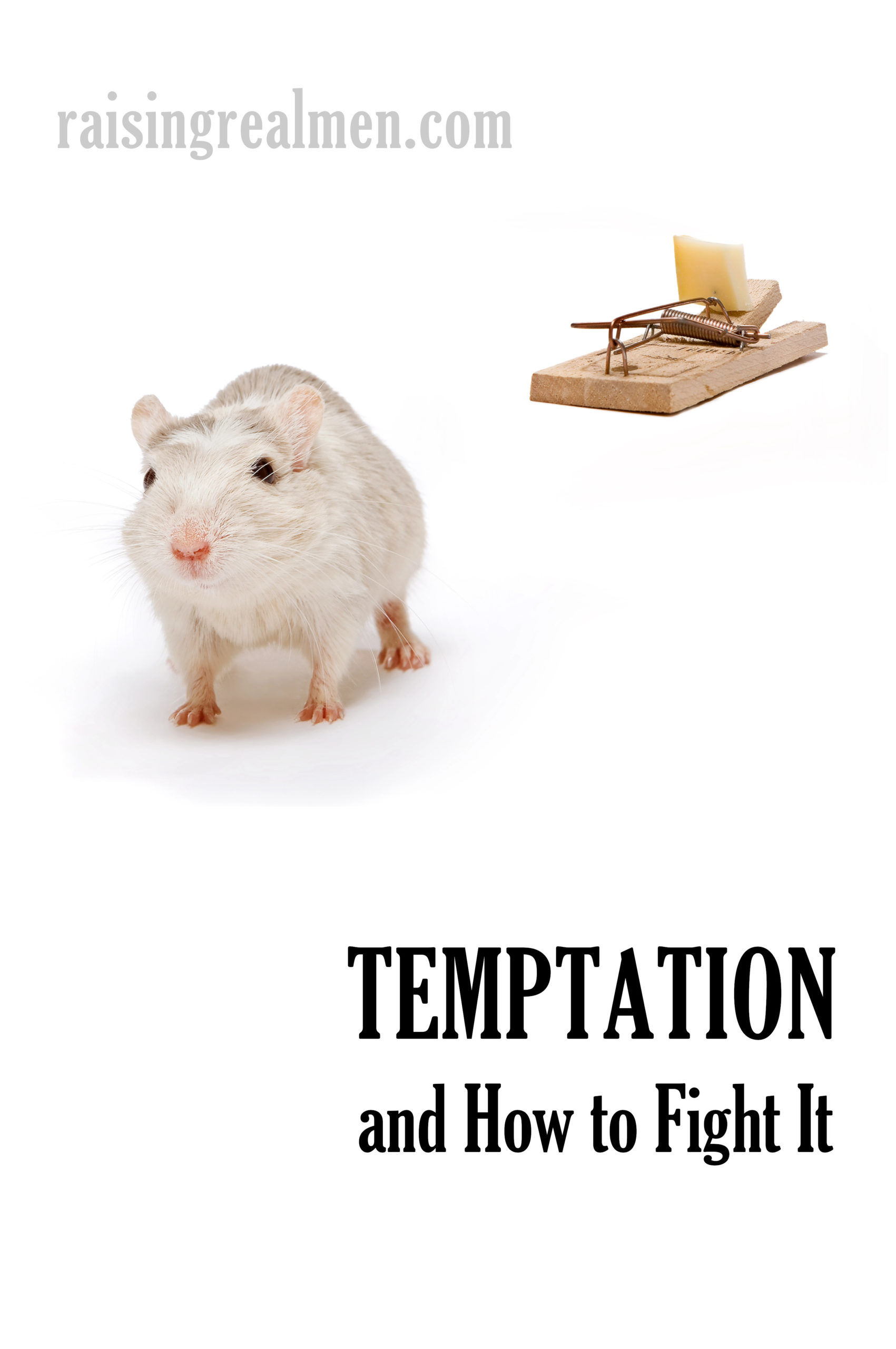 Raising Real Men » » Temptation – And How to Fight It